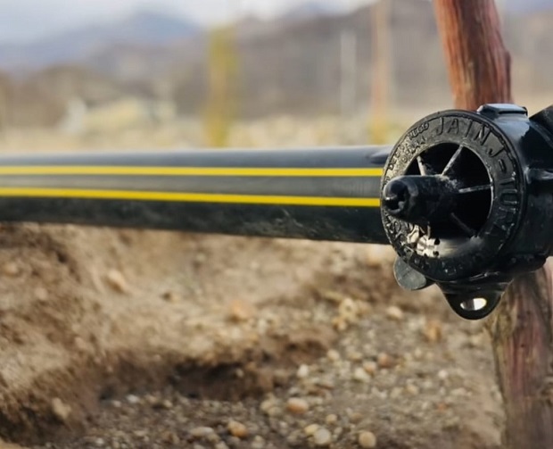 Online LLDPE Drip Pipe (100 Feet), Made by Jain Irrigation, India ...