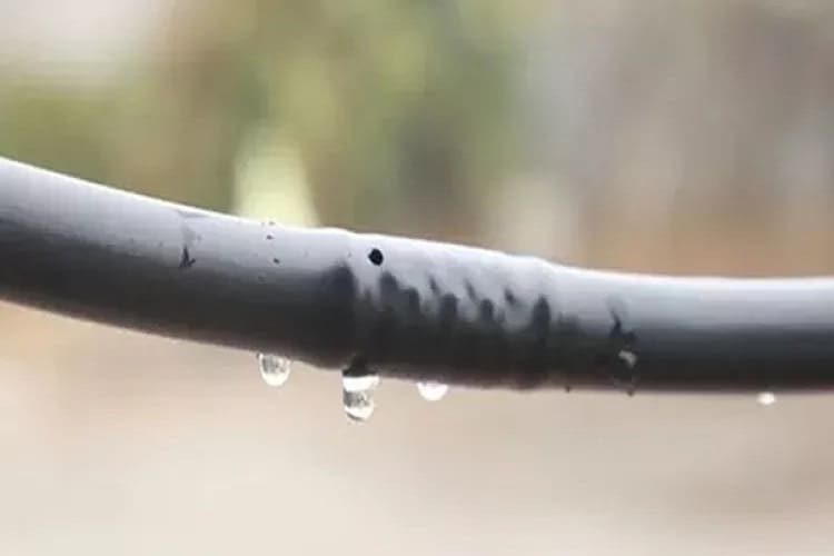 Inline Drip Pipe with Round Emitter (50 Feet), 30cm, 0.8mm. - IONEX ...